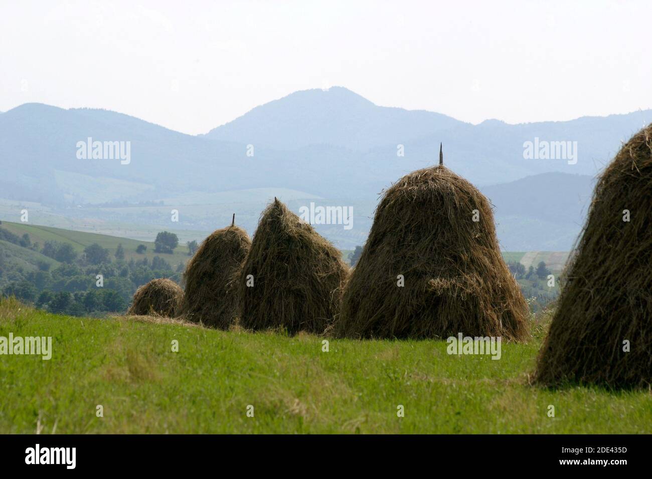 Field landscape haystacks in traditional hi-res stock photography and ...