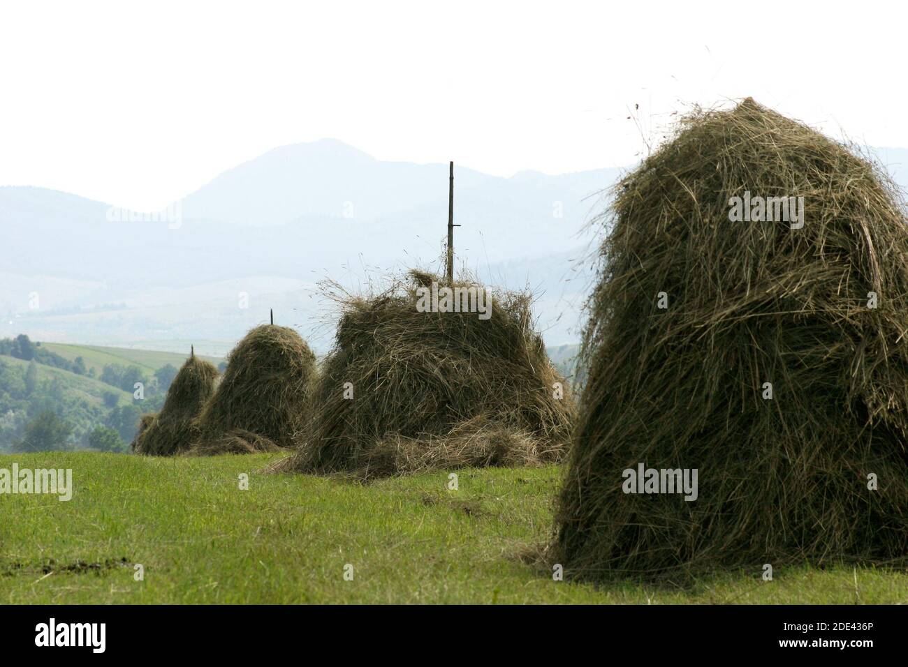 Field landscape haystacks in traditional hi-res stock photography and ...