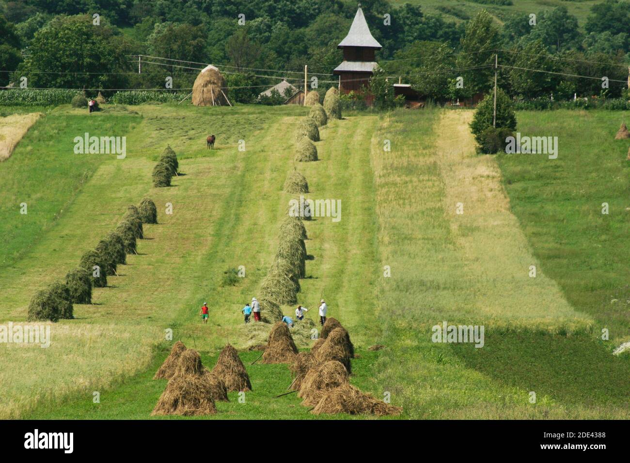 Moldavia countryside hi-res stock photography and images - Alamy