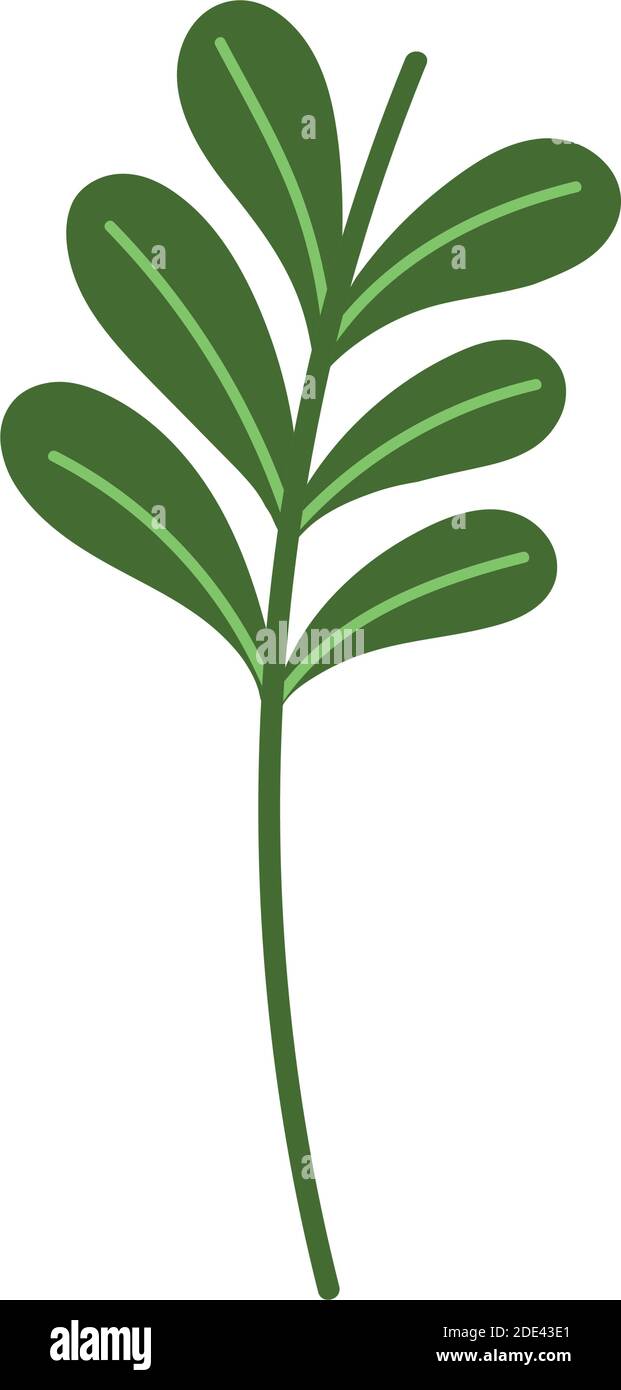 branch foliage leaf decoration cartoon icon white background vector ...