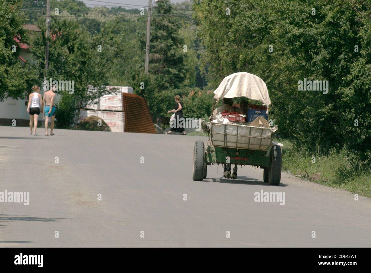 Romanian farmers carrying tomatoes in small horse-drawn cart Stock ...