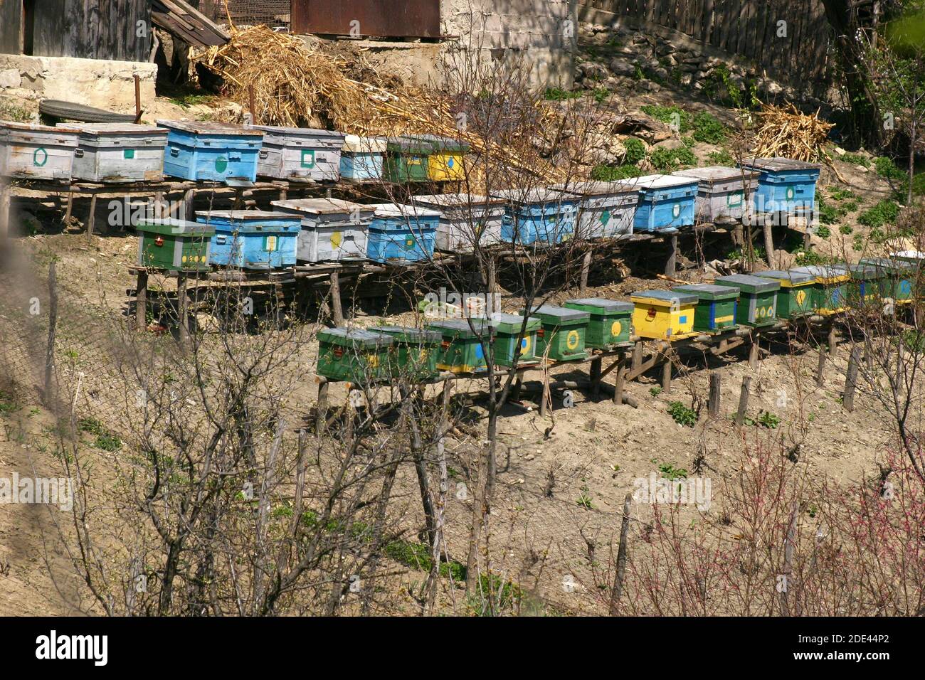 Bee hives in the backyard of a rural property in Romania Stock Photo ...