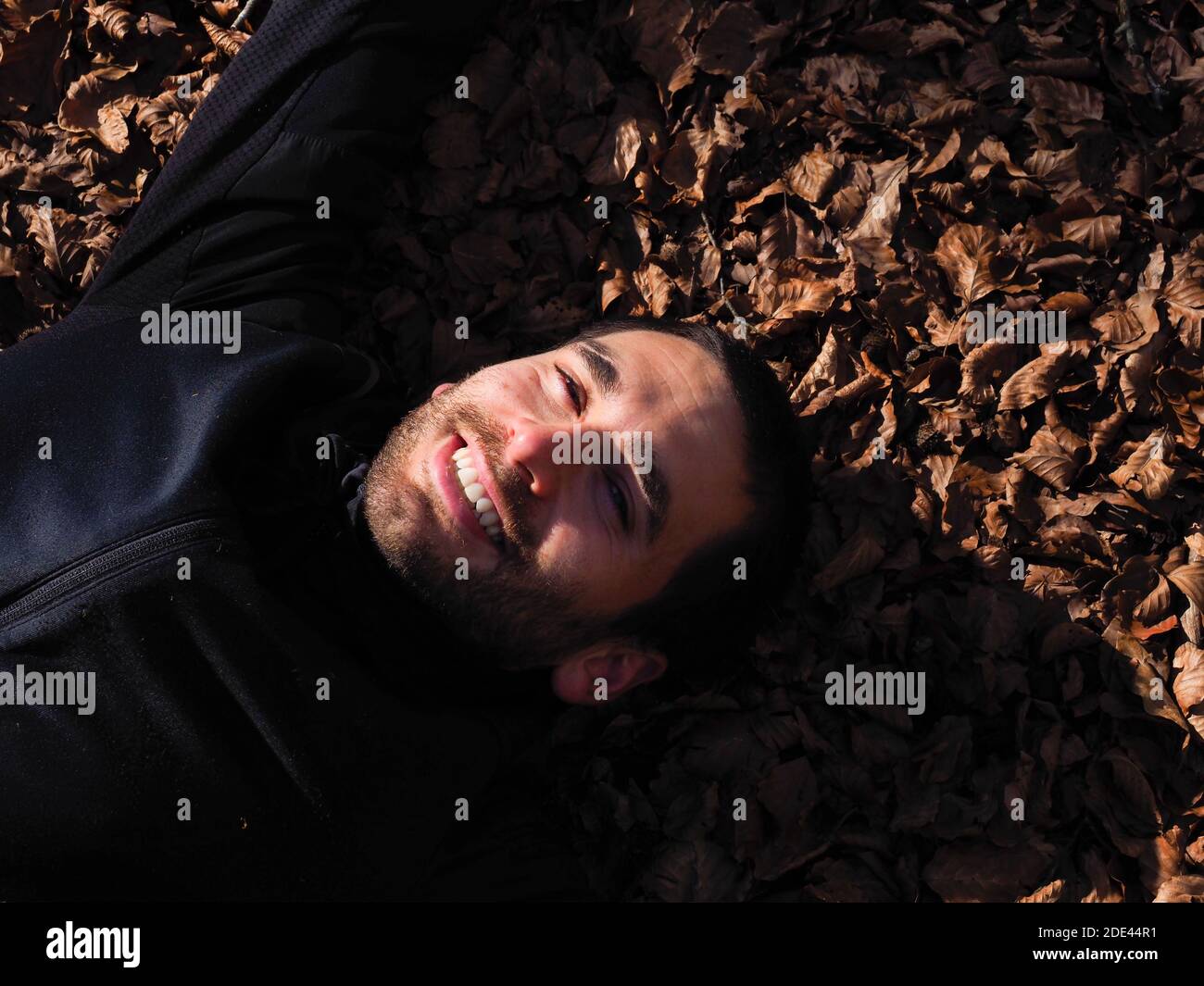 Hand on forest floor hi-res stock photography and images - Alamy
