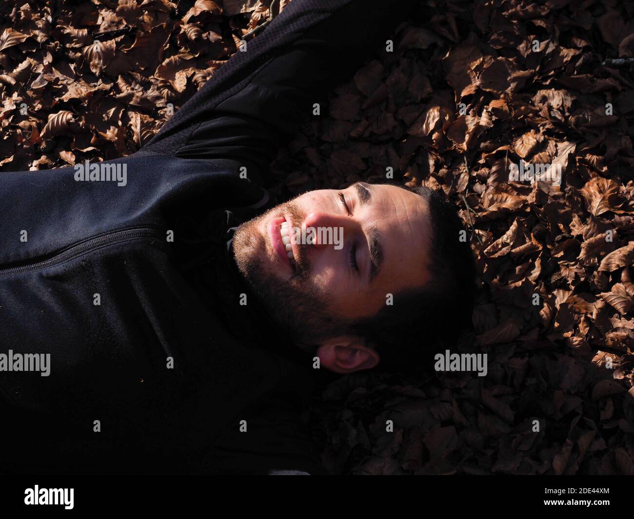Hand on forest floor hi-res stock photography and images - Alamy