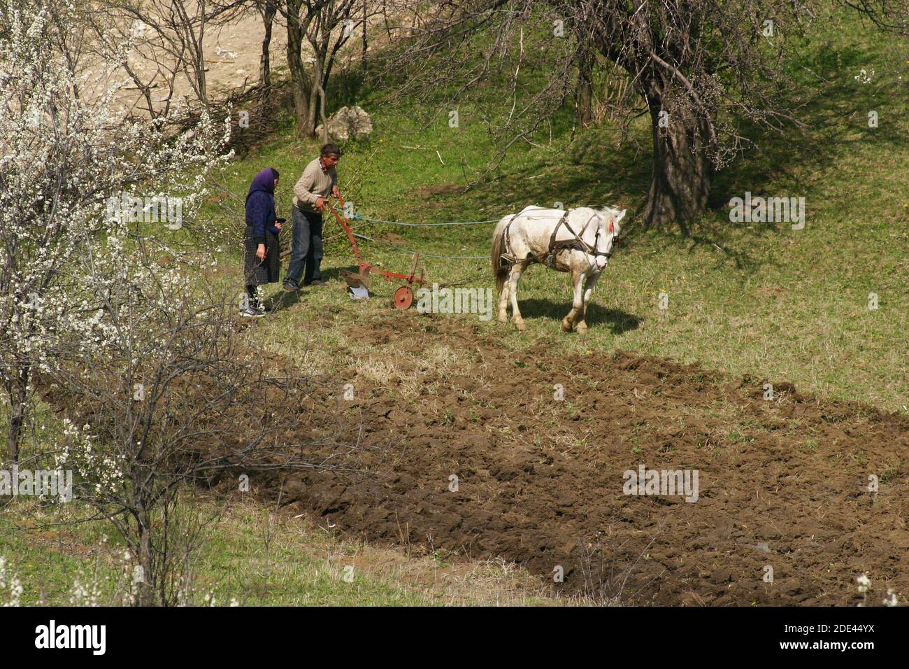 Ploughed plot hi-res stock photography and images - Alamy