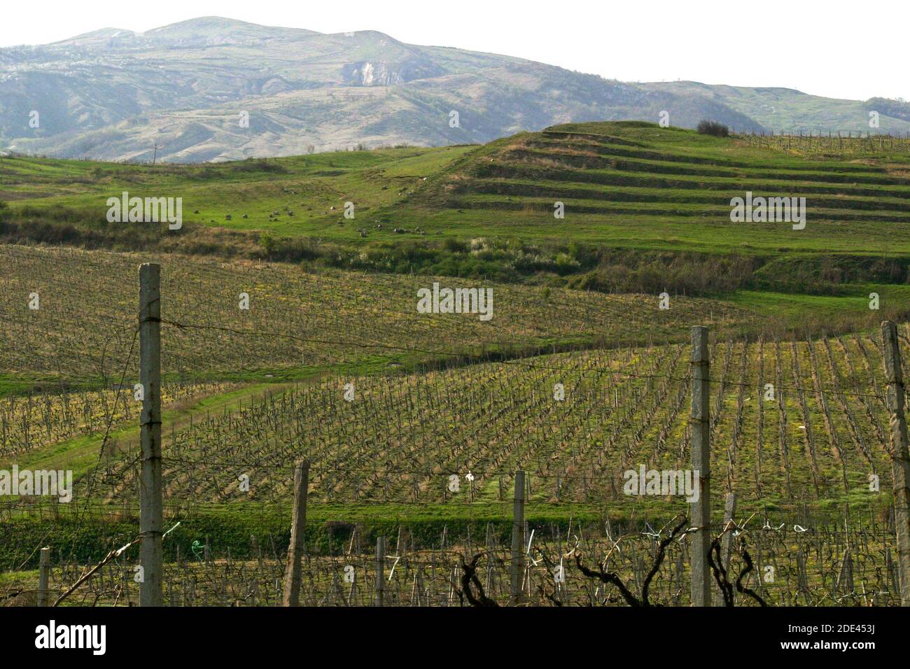 Buzau romania farm hi-res stock photography and images - Alamy