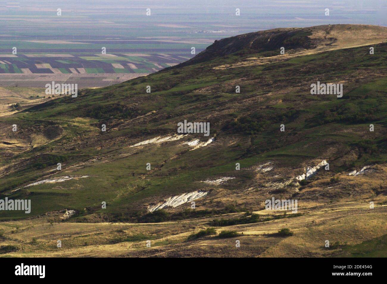 Calcaros hi-res stock photography and images - Alamy