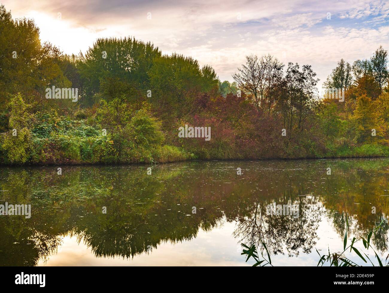 Early morning Autumn landscape. Colorful trees near water HDR, High ...