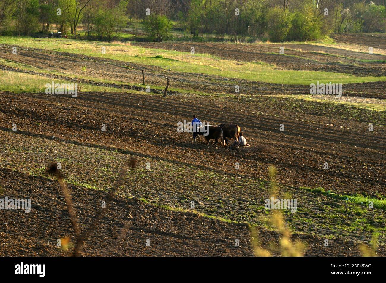 Traditional harrowing hi-res stock photography and images - Alamy