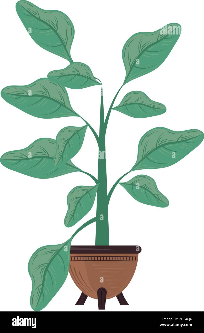plants growing in pot nature decoration vector illustration Stock ...