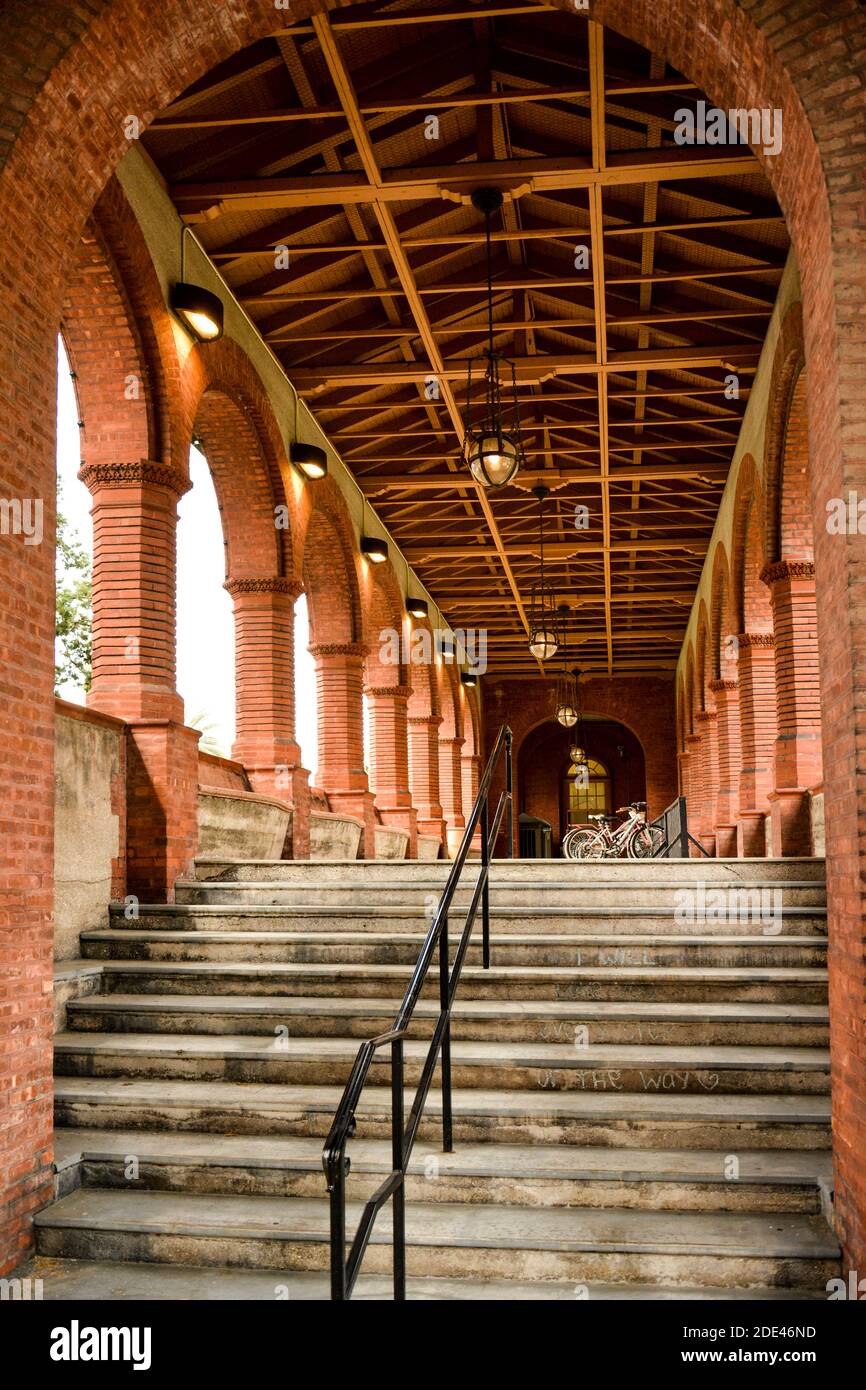 Steps lead up to parked bicycles and open wooden ceiling along the ...