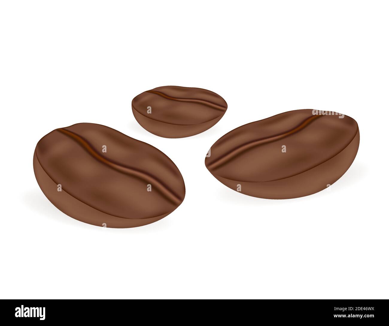 Single Coffee Bean Vector