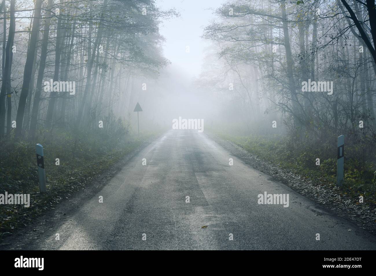 Scary driving hi-res stock photography and images - Alamy