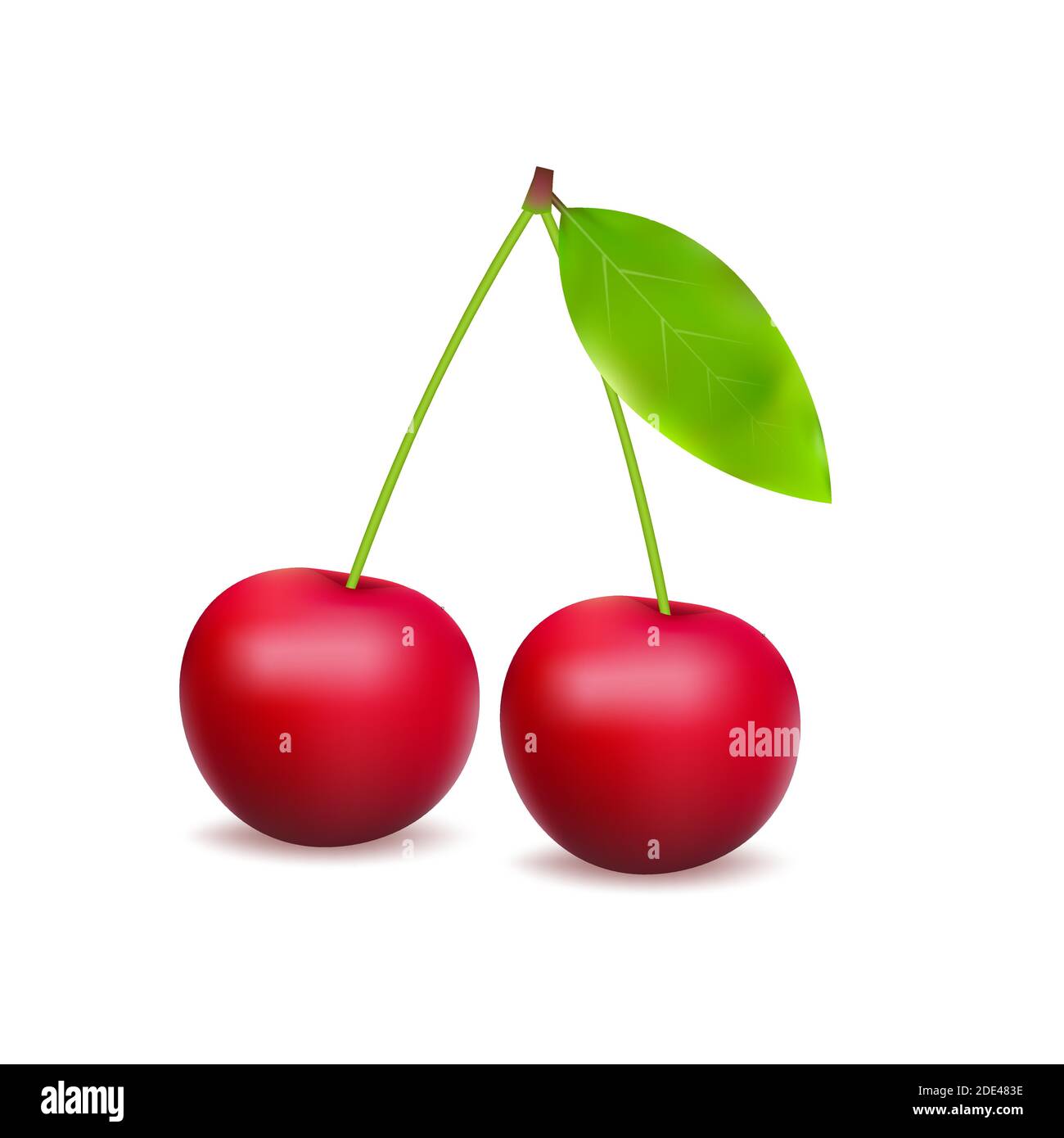 Ripe Red Cherry Berries With Leaves Vector Stock Illustration Stock