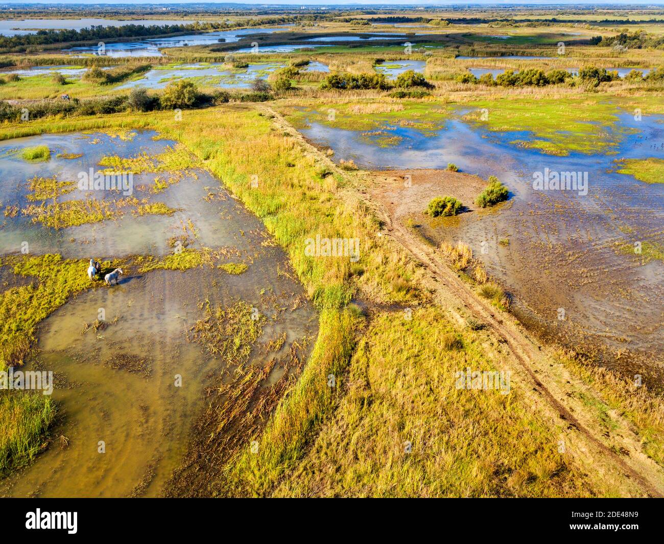 Typical scene camargue hi-res stock photography and images - Alamy