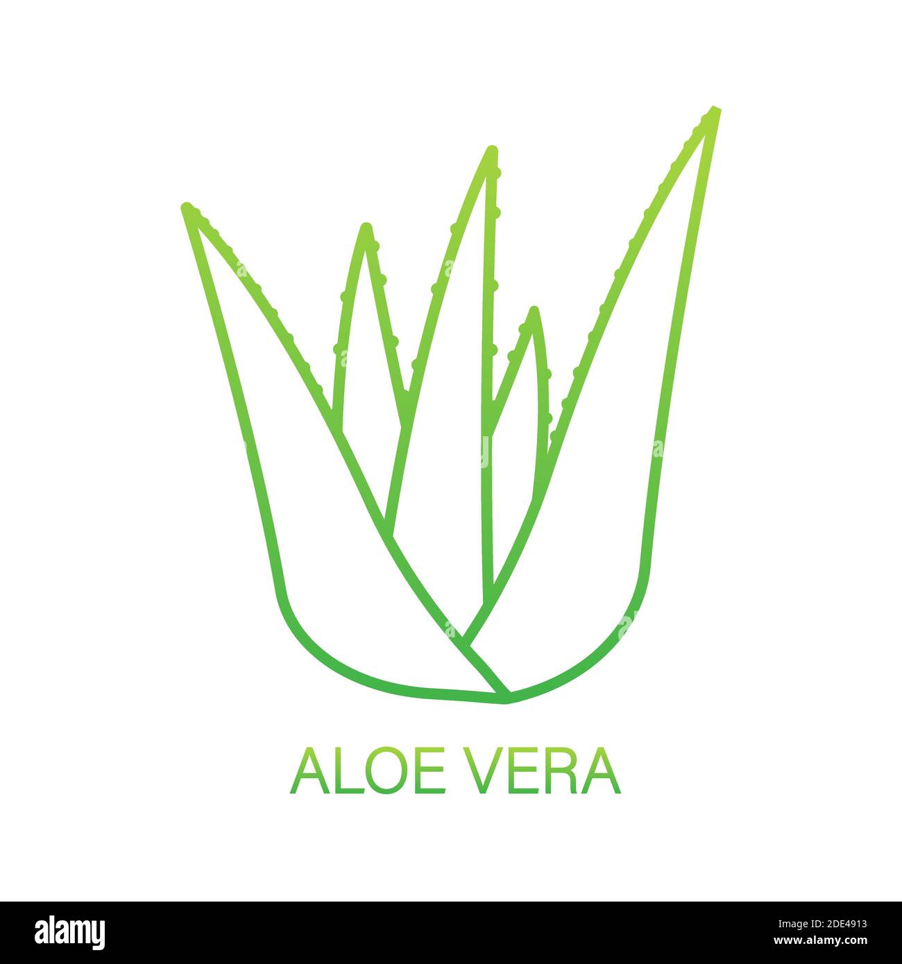 Realistic aloe vera plant. Natural organic product package label ...