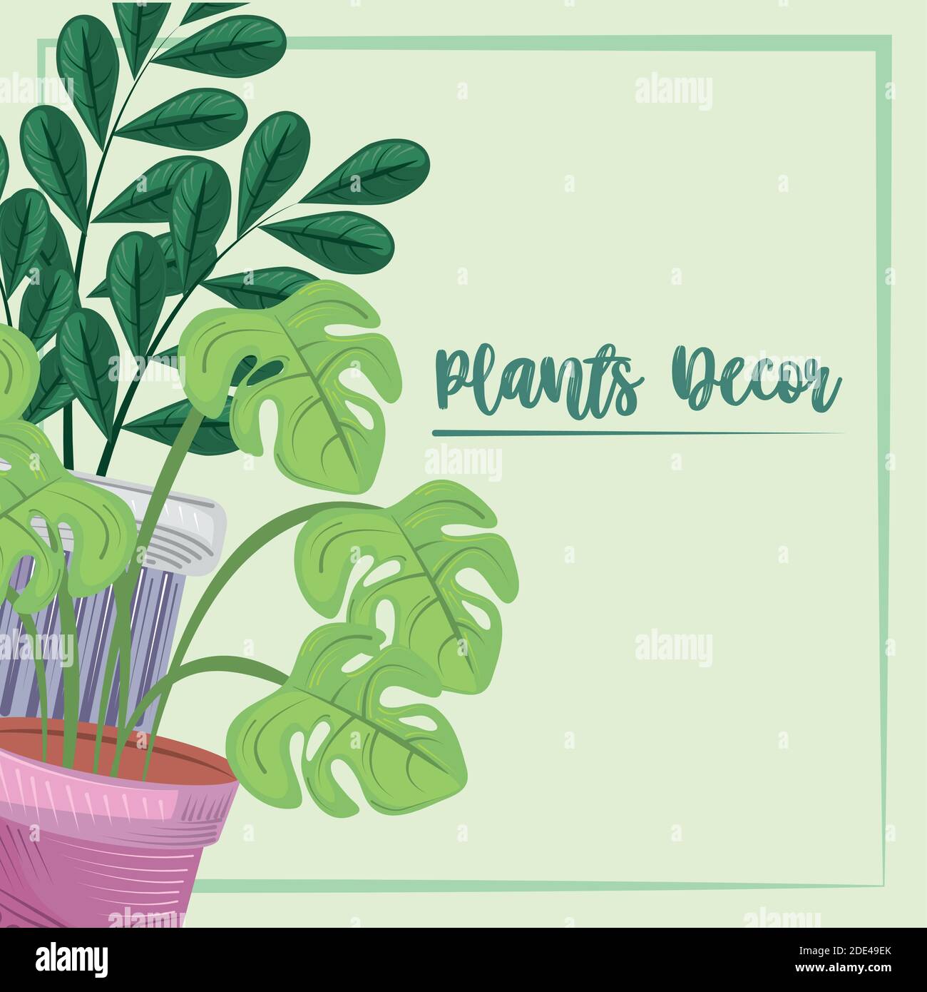 plants decor in pots greenery garden banner vector illustration Stock ...
