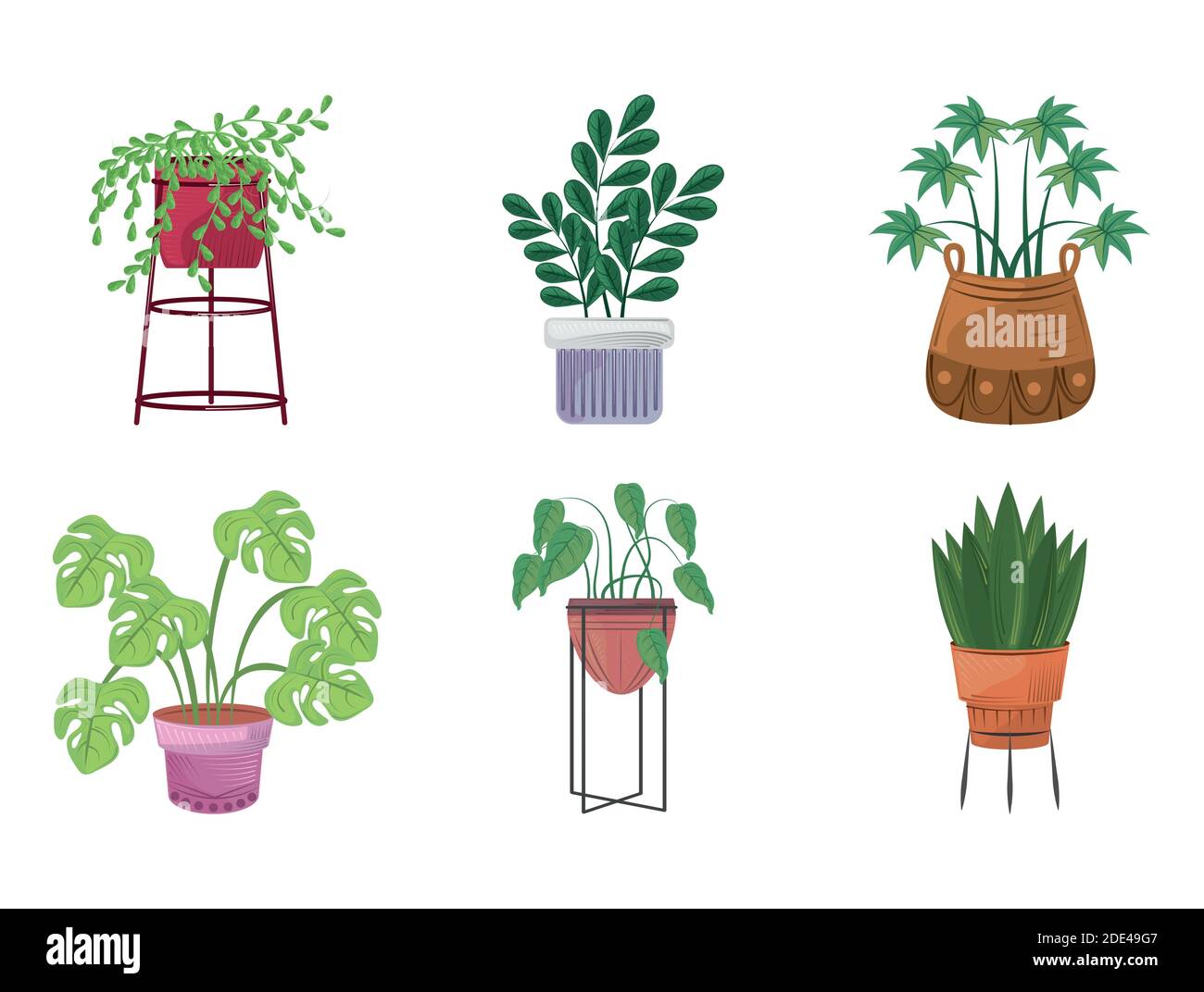 set ornamental plants in pots garden decoration vector illustration ...
