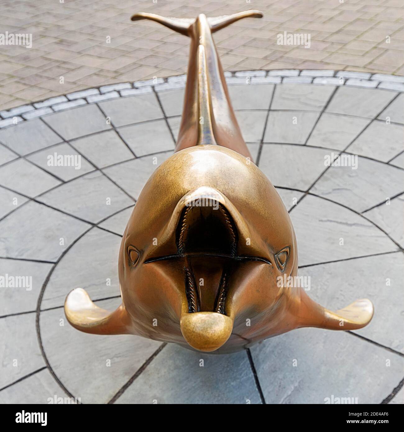 Bronze sculpture of Dolphin Fungie, Dingle, Dingle Peninsula, Wild ...