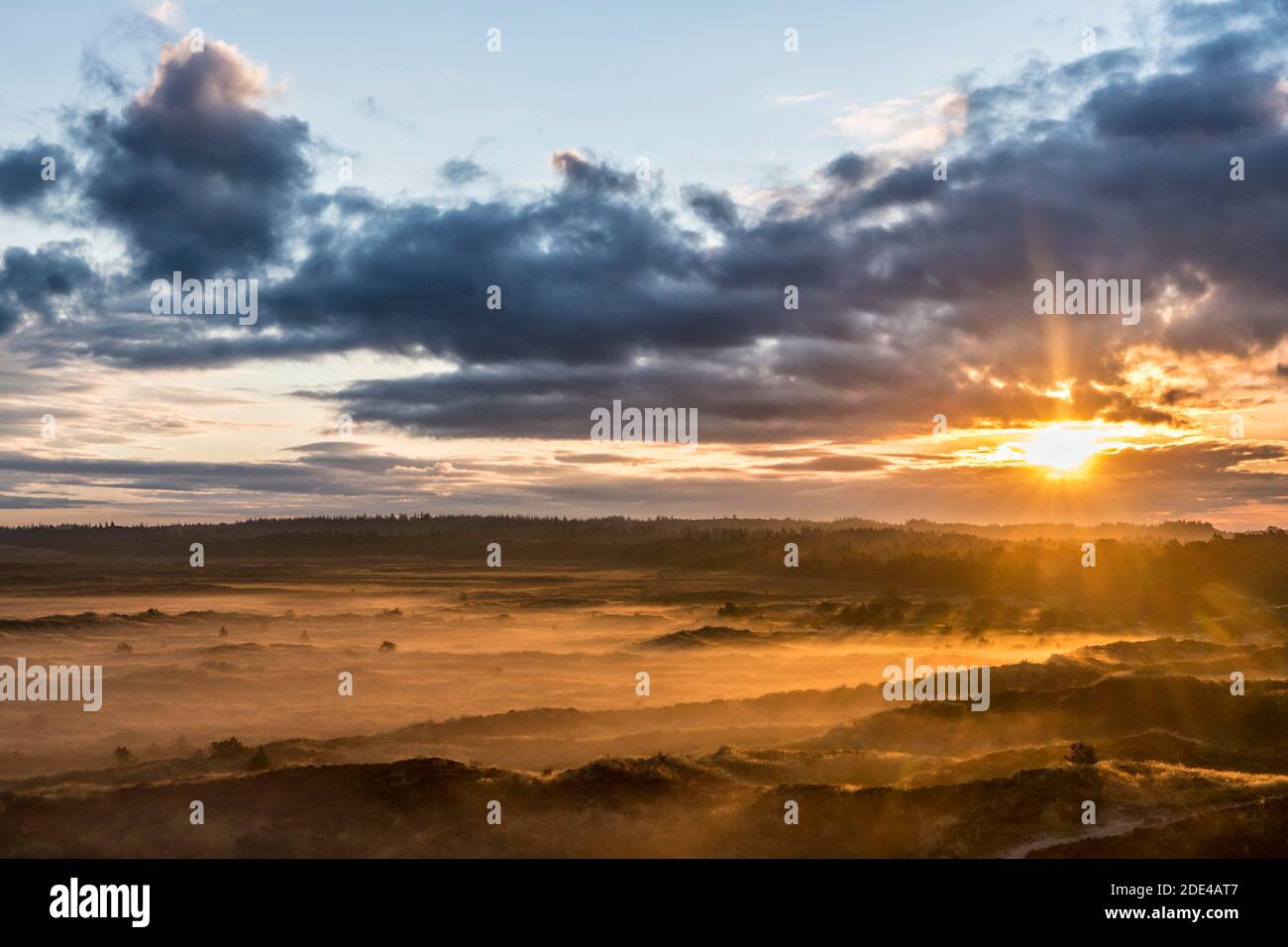 Sunrise over dune landscape with ground fog, Hen beach, Hen, Jutland ...