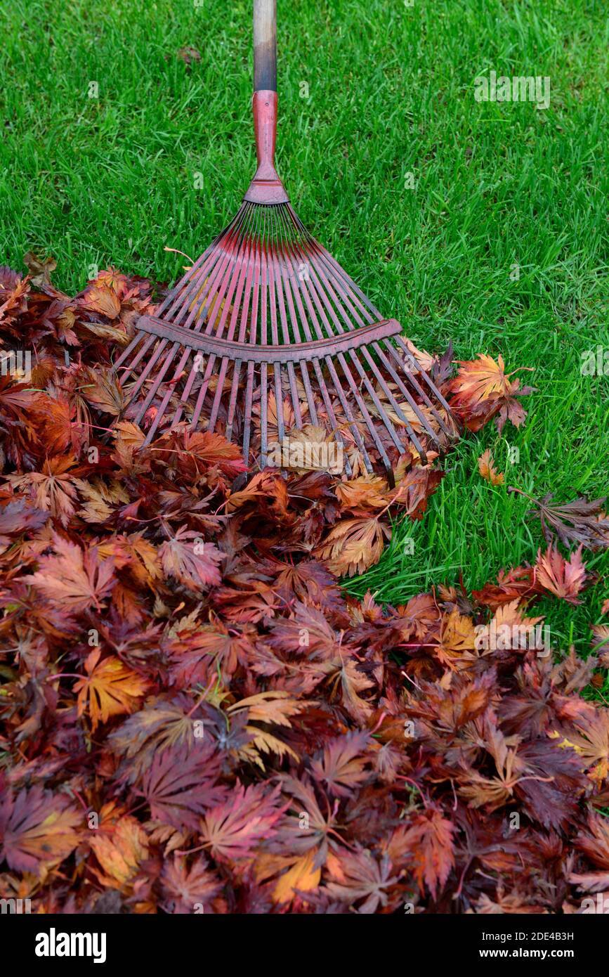 Garden rakes hi-res stock photography and images - Alamy