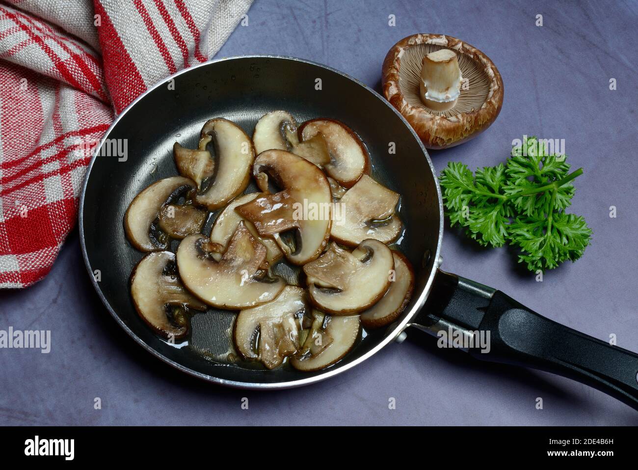 Mushroom disc hi-res stock photography and images - Alamy