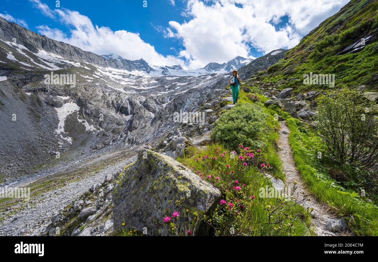 Moraine landscape, hiker on the descent from Schoenbichler Horn to the ...