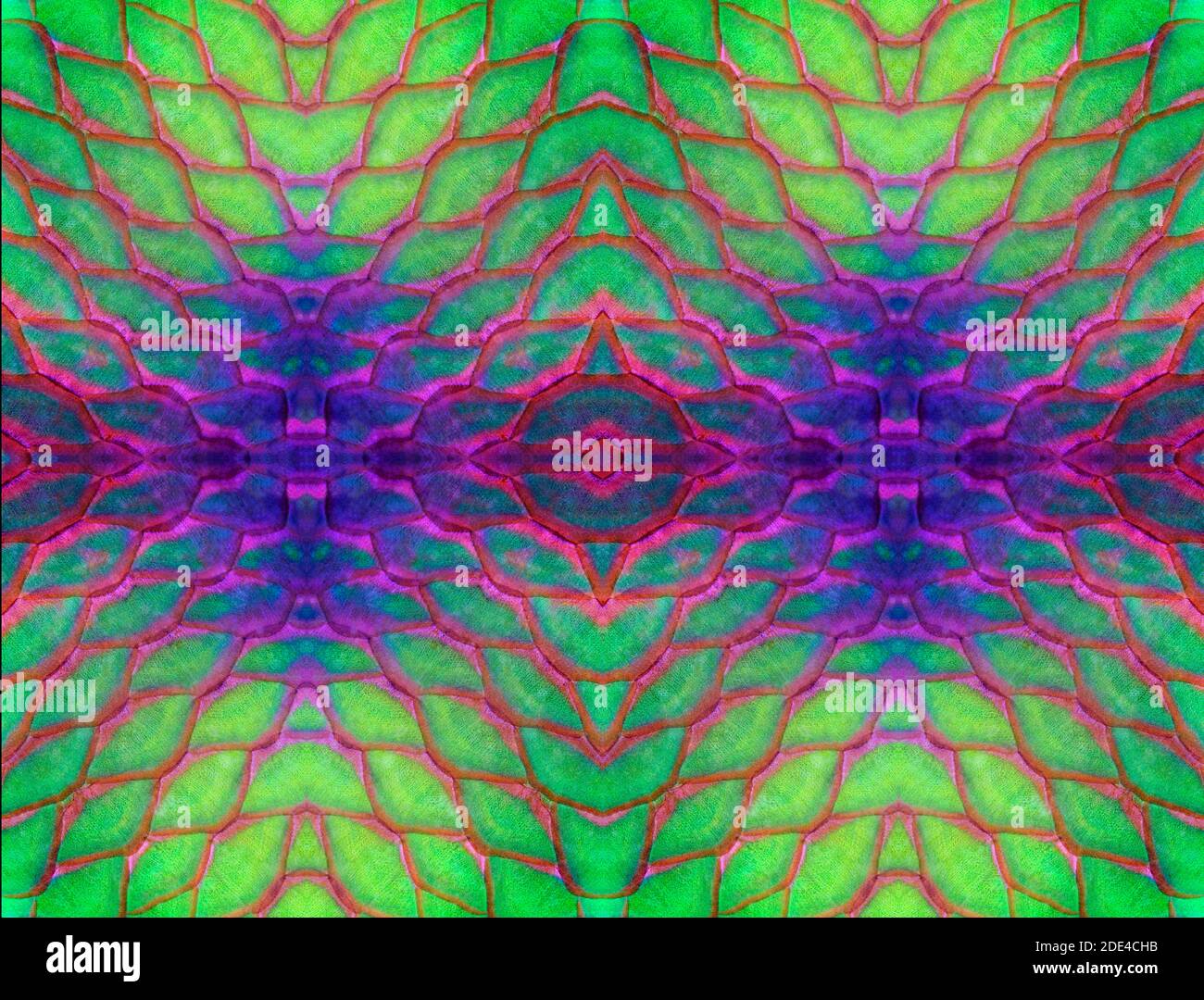 PHOTOMONTAGE, scales of rust head parrot fish (Scarus ferrugineus ...