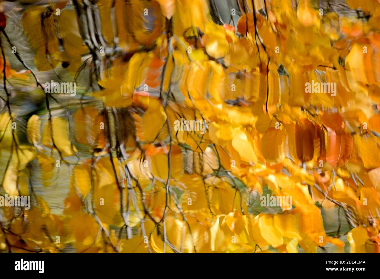 Sandy beech hi-res stock photography and images - Alamy