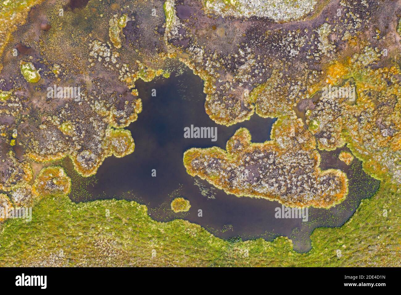 Aerial view, lake in wetland, bog, Lyngen Alps, Lyngenfjord, Troms og ...