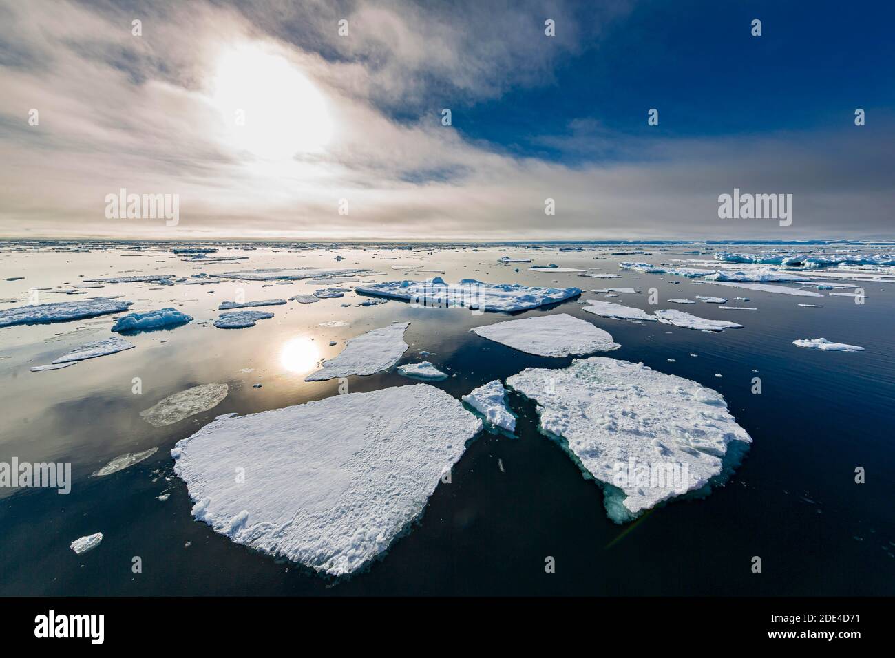 Ice field in the sea, rising fog, east coast Greenland, Denmark Stock ...