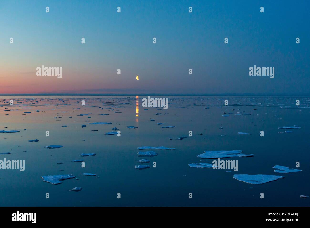 Moonrise over sea with small ice floes, pastel coloured sky, east coast ...