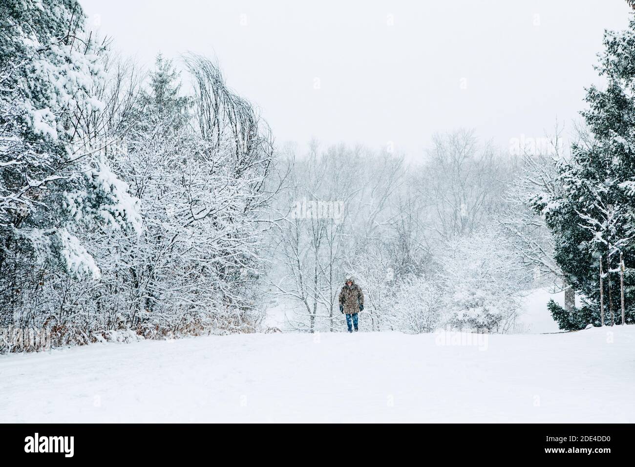 Winter outdoor scene. Man walking under snow in park. Heavy snowfall ...