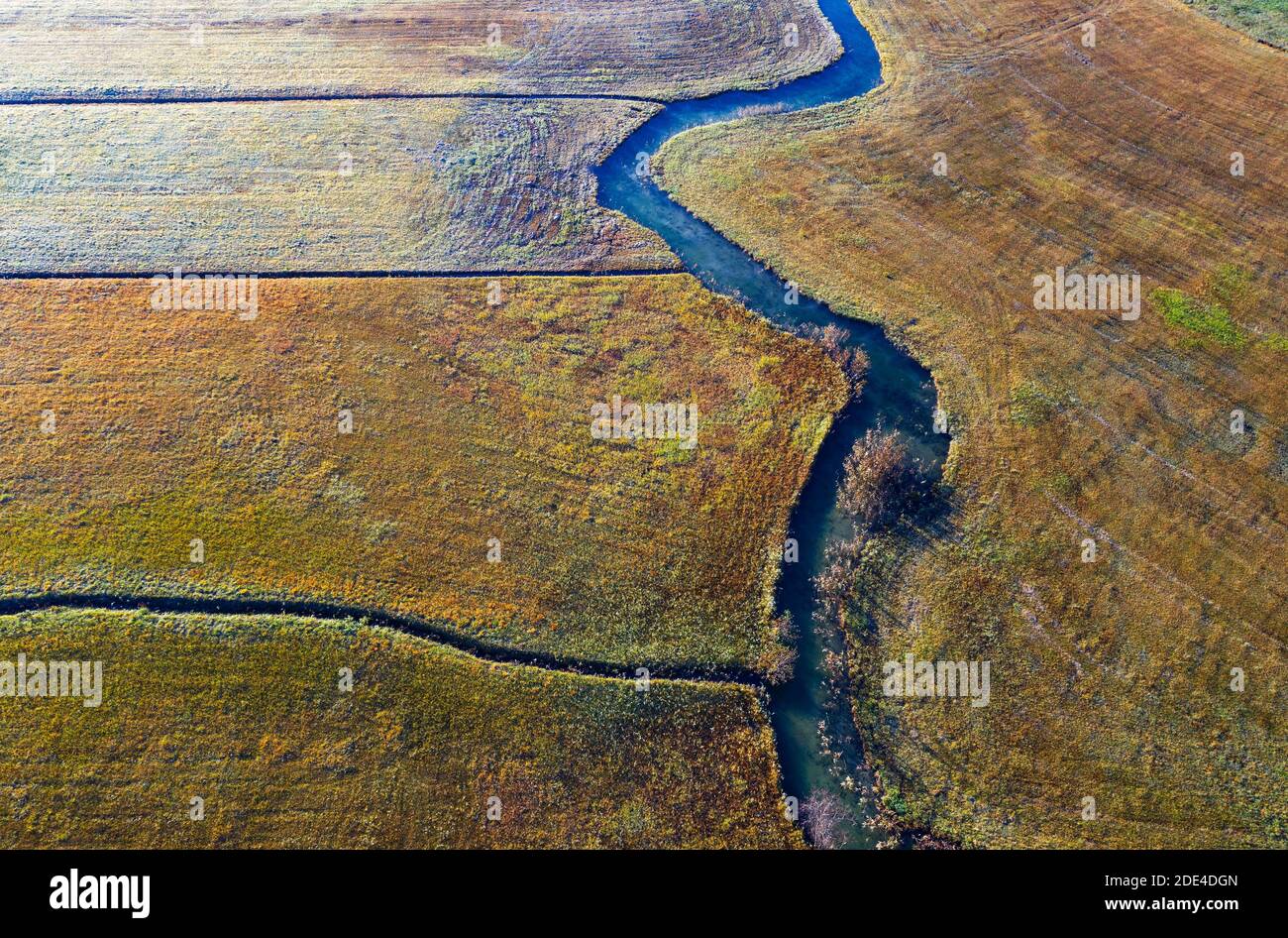 Structure natural pattern hi-res stock photography and images - Alamy