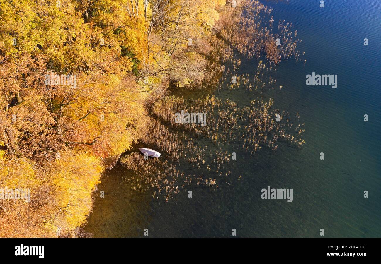 Coloured deciduous trees with boat in the reed belt at the Irrsee ...