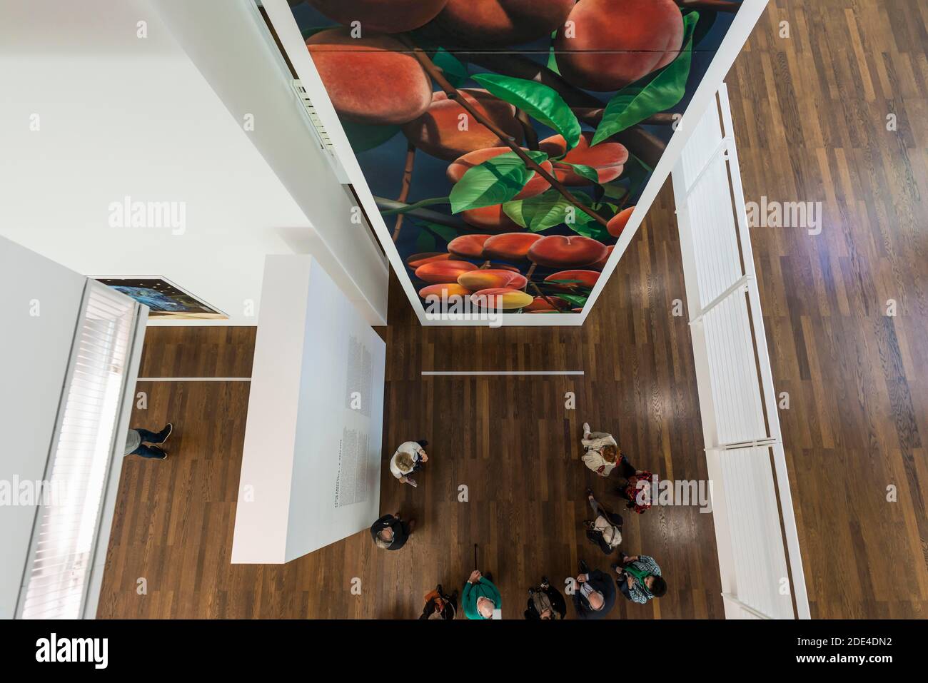 Interior view, Museum Frieder Burda, artworks by Karin Kneffel, architect Richard Meier, Baden ...