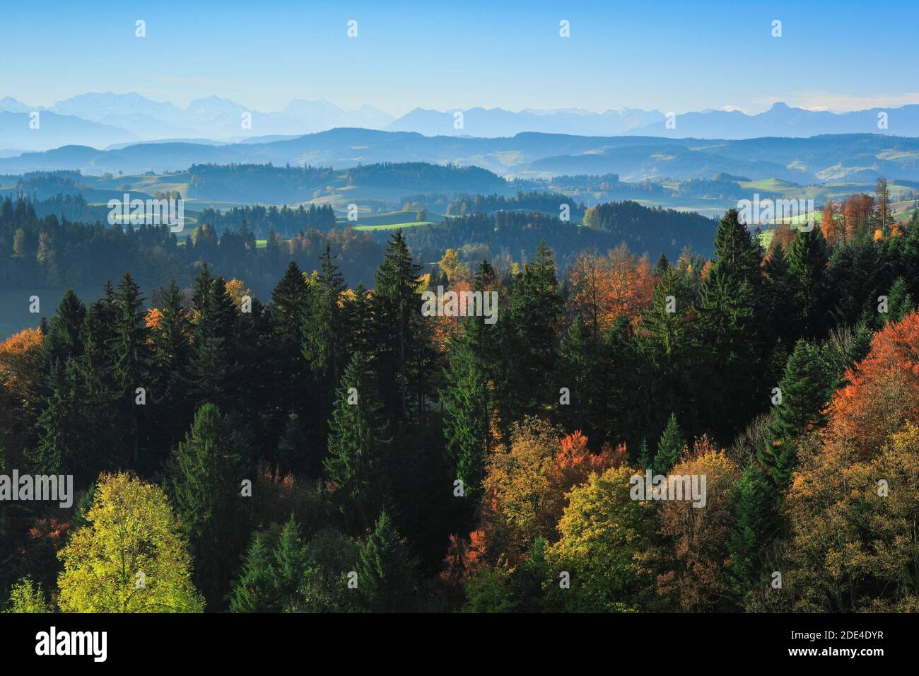 Emmental, Bernese Alps, Switzerland Stock Photo - Alamy