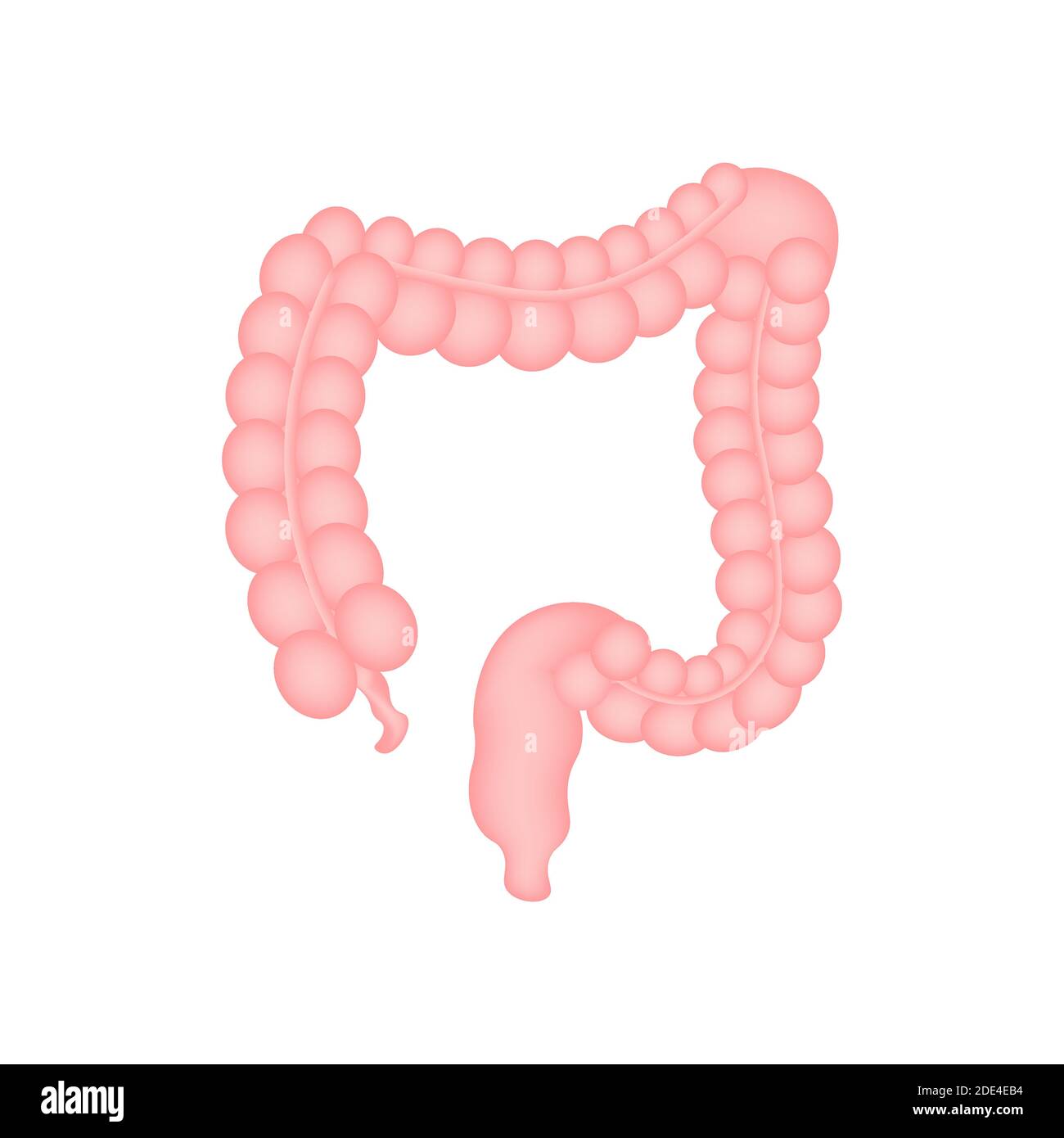 Colitis for medical design. Gastroenterology. Gut constipation icon ...