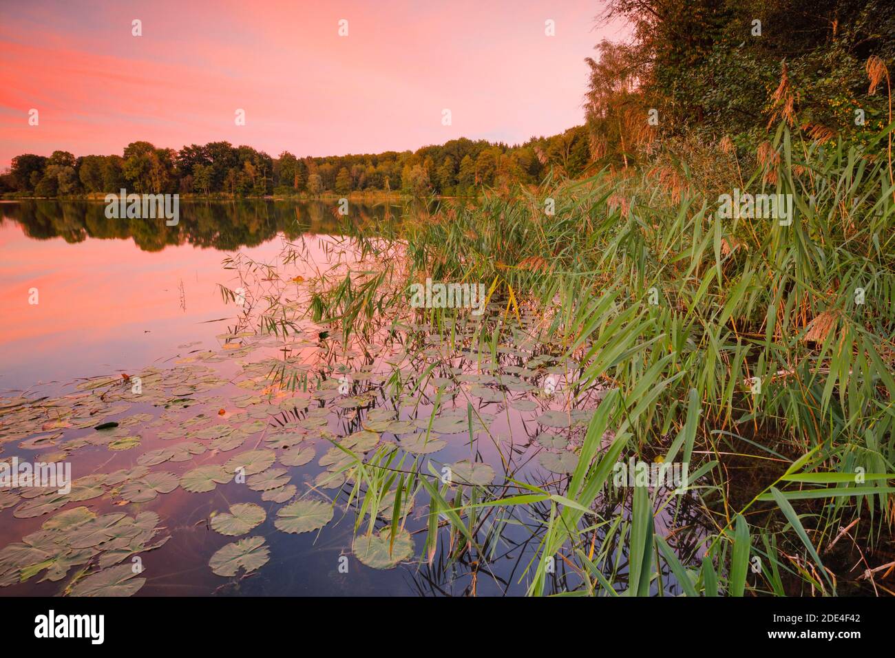 Lake Burgaeschi, Solothurn, Switzerland, Lake Burgaeschi Stock Photo ...