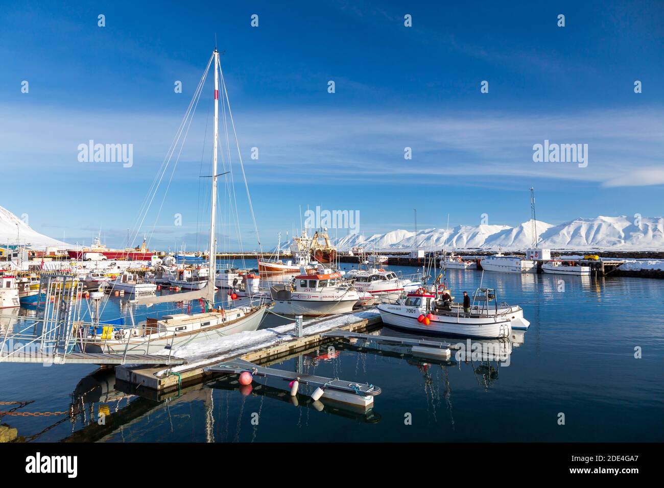 Harbour of Dalvik in winter, Akureyrifjord, Iceland Stock Photo - Alamy