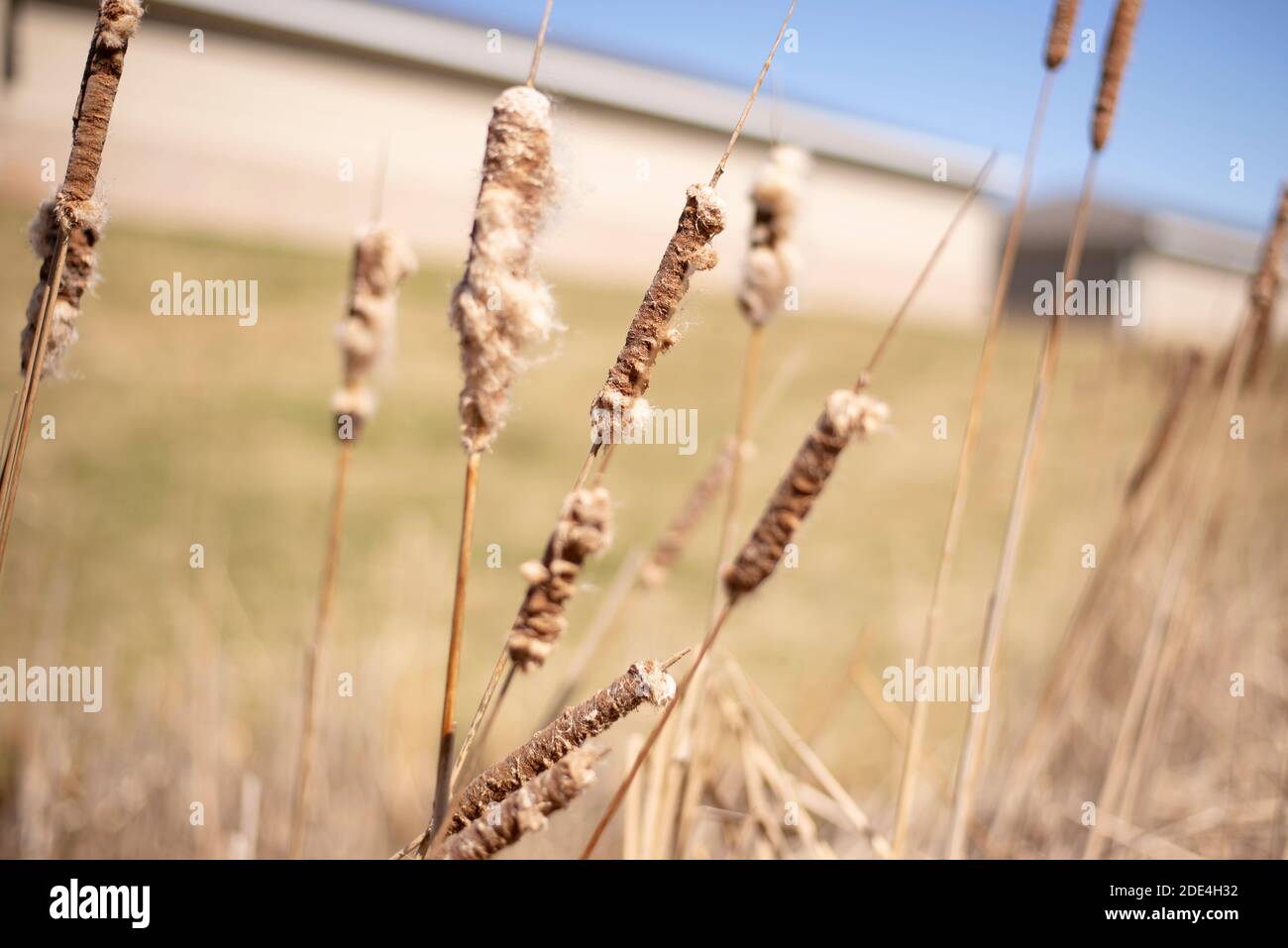 Warm sunny sunshine windy summer hi-res stock photography and images ...