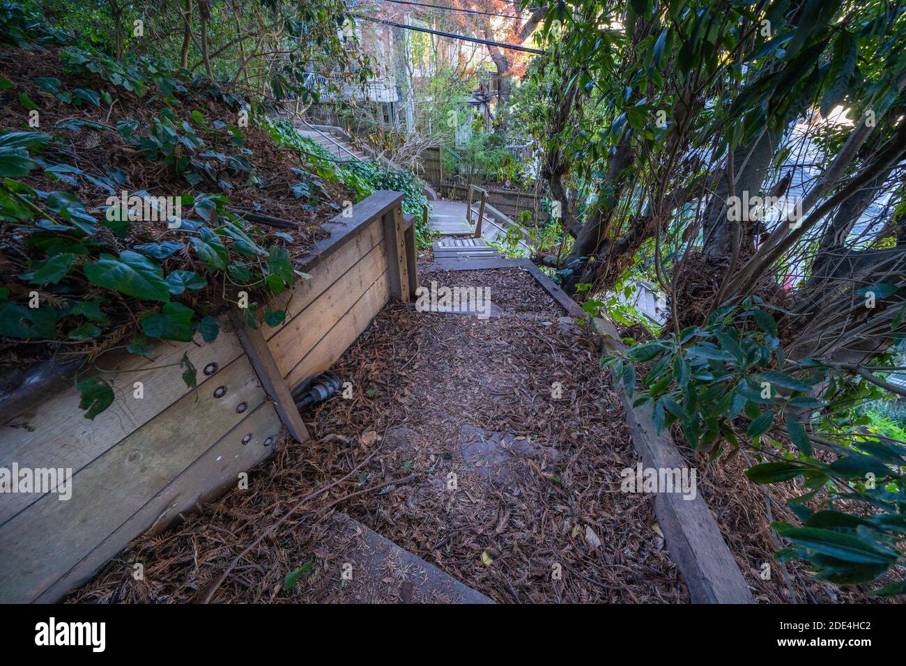 Vulcan Steps, Vulcan Stairway, Walking Bottom to Top Stock Photo - Alamy