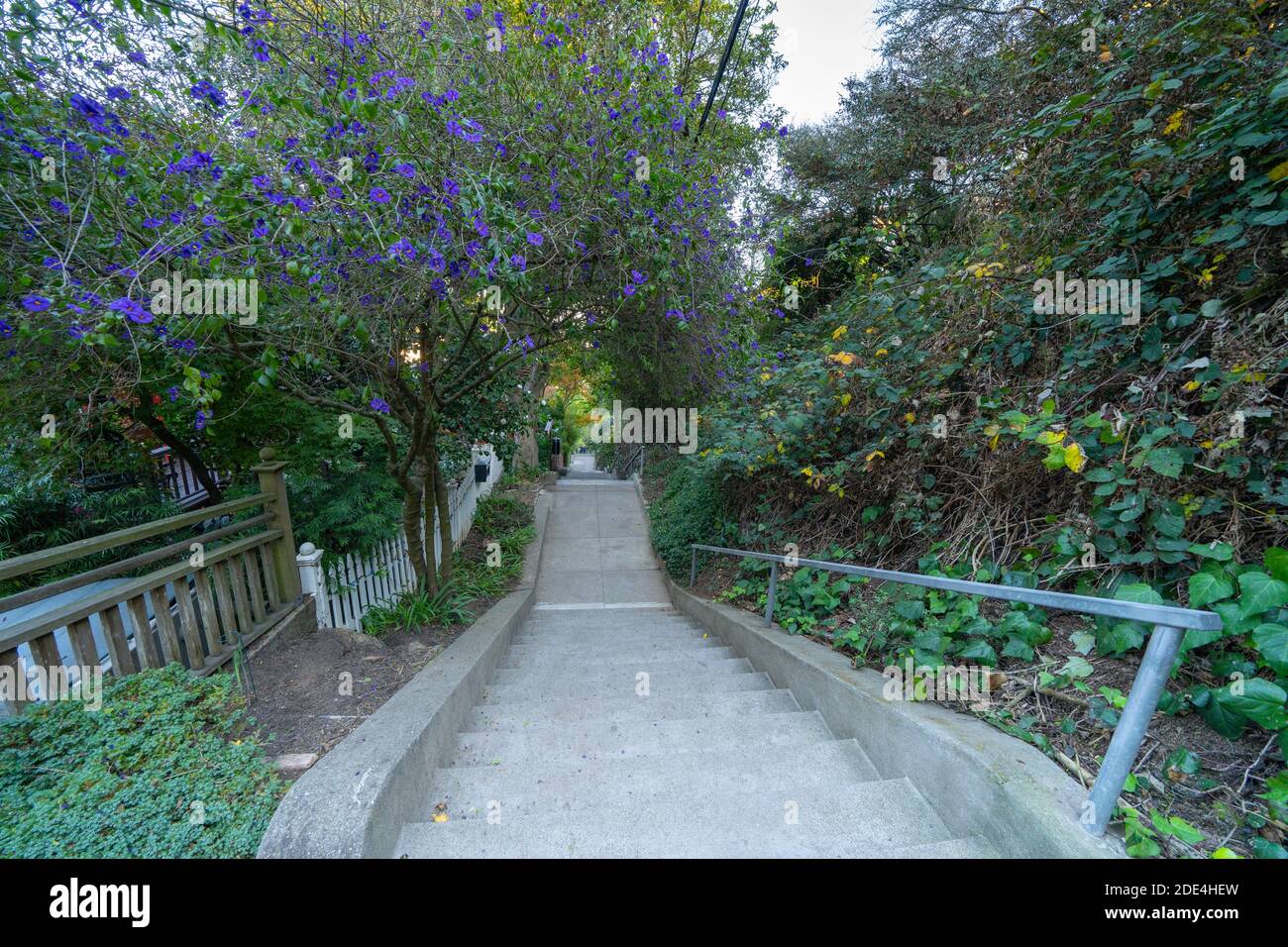 Vulcan Steps, Vulcan Stairway, Walking Bottom to Top Stock Photo - Alamy