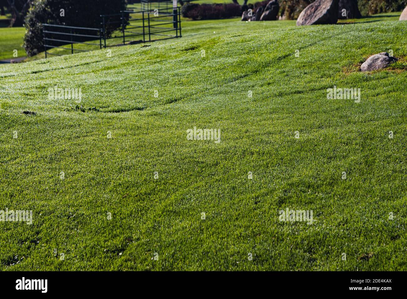 hillside with freshly cut green grass Stock Photo - Alamy