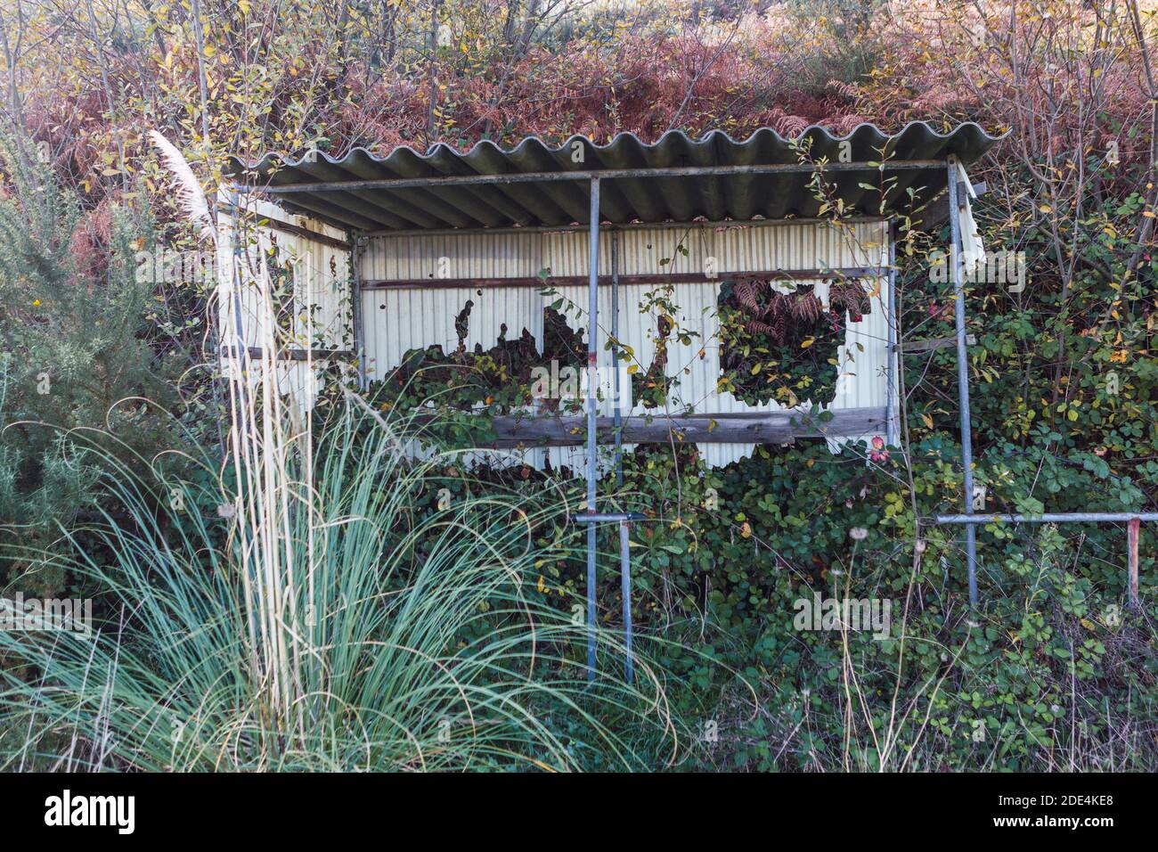 old football bench covered by vegetation Stock Photo - Alamy