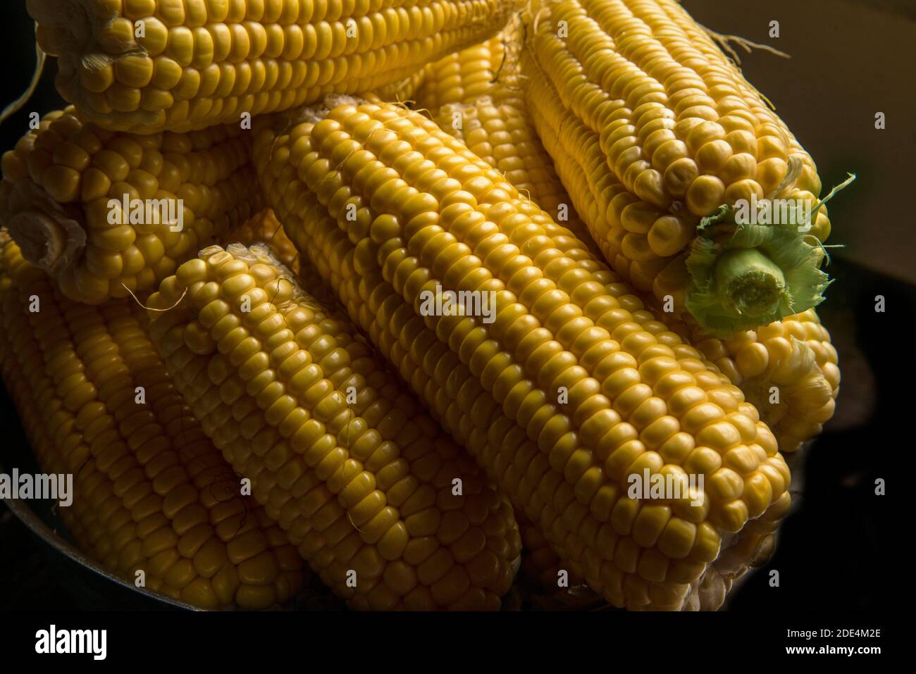 Sweet Corn Husks on Black Background Stock Photo - Alamy