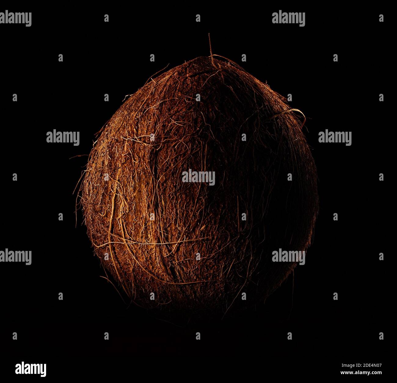 Artistic coconut hi-res stock photography and images - Alamy