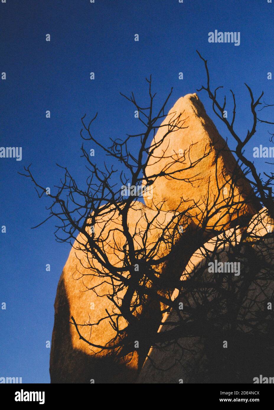 Nps triangle hi-res stock photography and images - Alamy