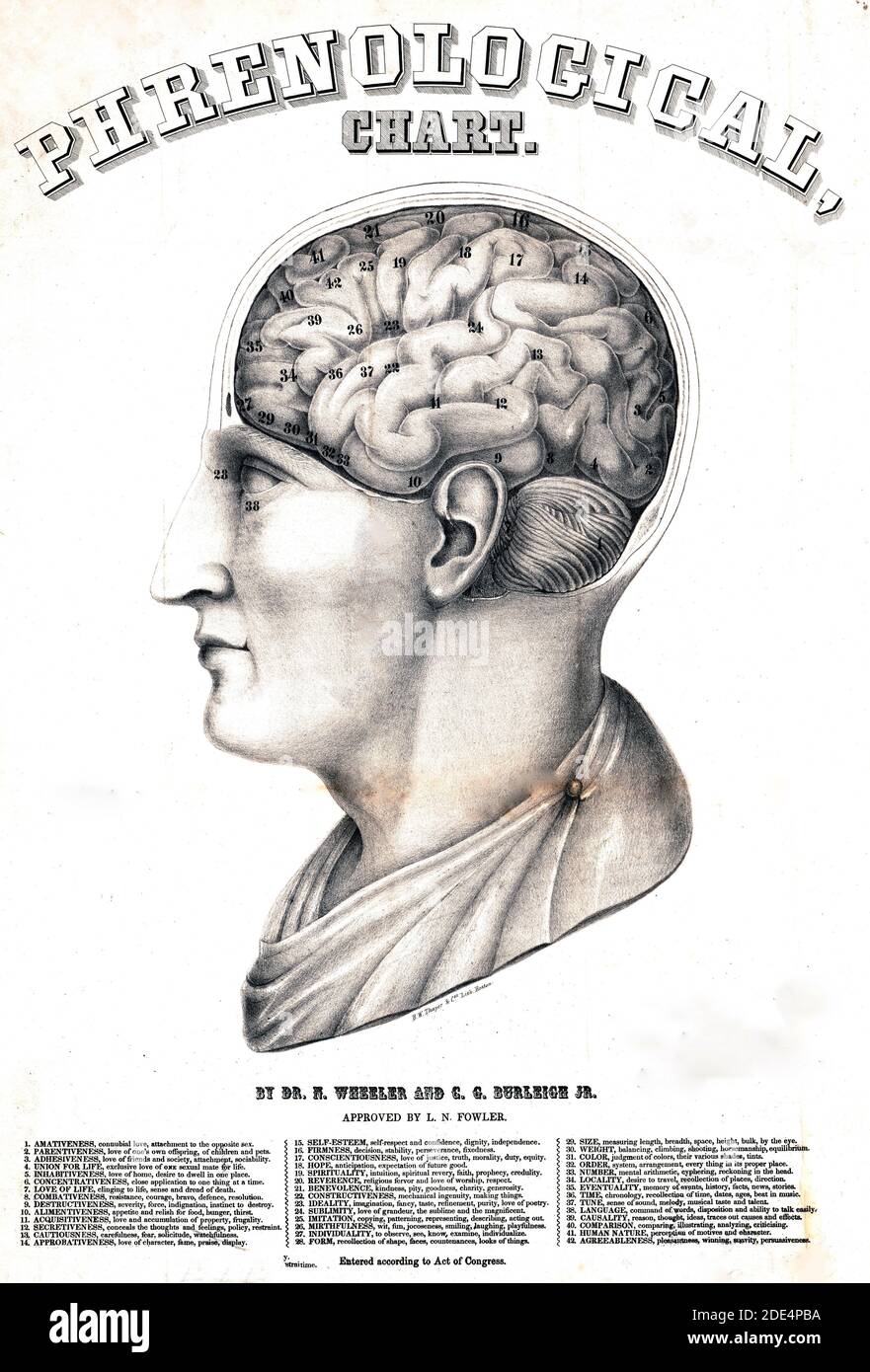 Phrenological chart ca. 1862 Stock Photo - Alamy