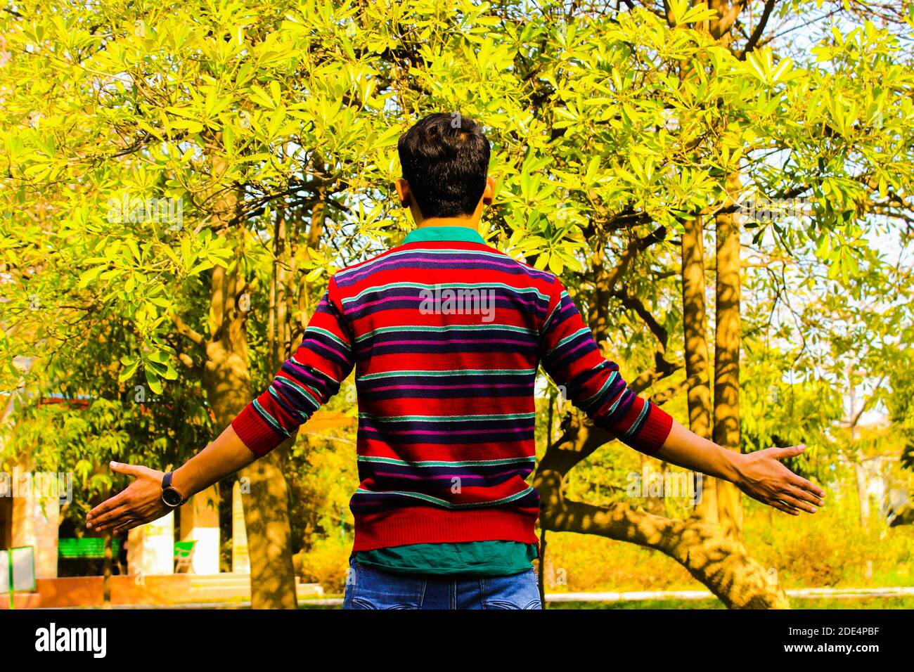 Facing Away From Camera High Resolution Stock Photography and Images ...